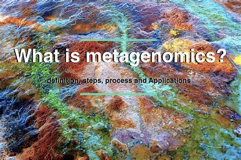 What Is Metagenomics Definition Steps Process And Applications