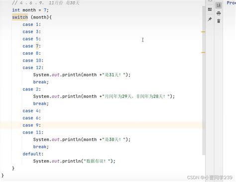 【java基础】程序流程控制 java for black 后面的代码会执行吗 csdn博客