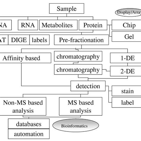 Schematic Of The Integration Of Technologies For Proteomics Including