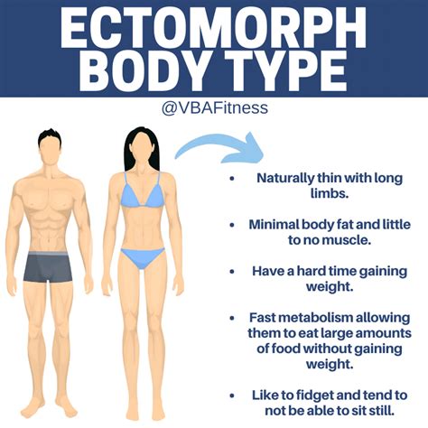 Ectomorph Bodybuilder Diet
