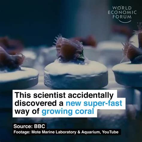 Ariel Wilder Posted On Linkedin