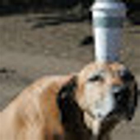 1907 36 Millers Falls Corner Bit Brace 502 Vintage Woodworking Carpentry Tool Hand Drill Double