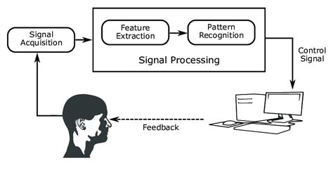 Basic Components Of A Bci The Image Illustrates The Map Between The Download Scientific