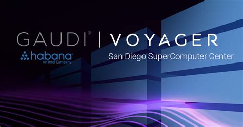 Training Causal Language Models On Sdscs Gaudi Based Voyager