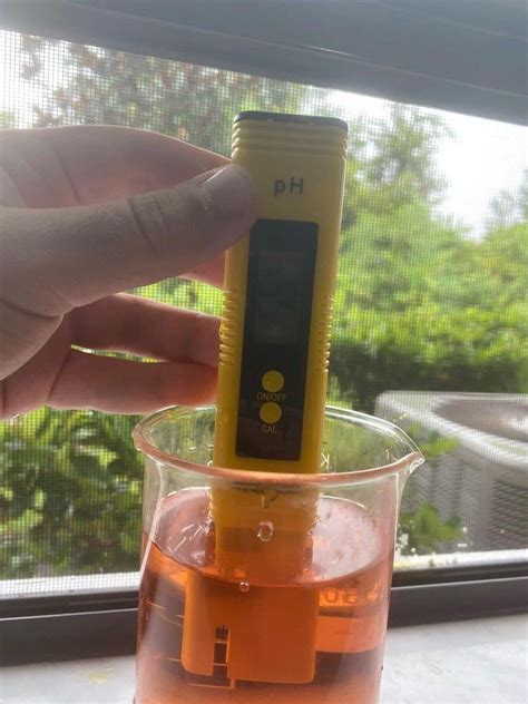 Strain Candy Bonez Rtrees