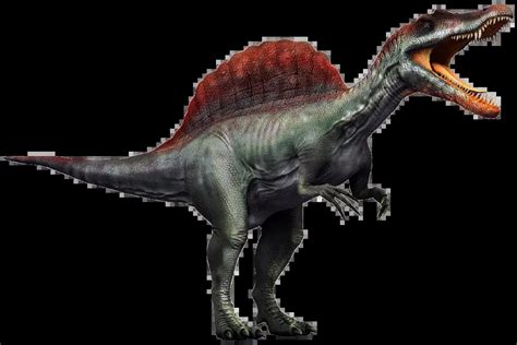 مجموعه عکس وکتور دایناسور واقعی و کارتونی با فرمت Png و رایگان