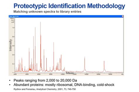 How To Interpret Maldi Tof Analysis Report Charles River