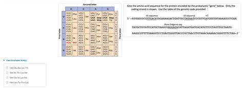Solved Give The Amino Acid Sequence For The Protein Encoded