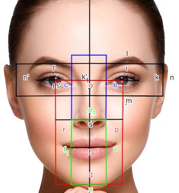Fibonacci Sequence Human Body