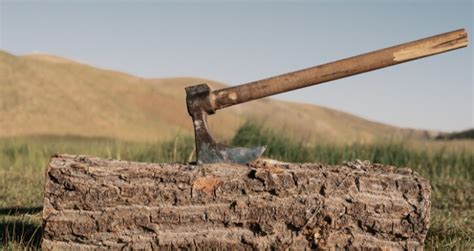 Майже 400 тисяч гривень на Одещині та Миколаївщині підрахували тижневі збитки довкіллю