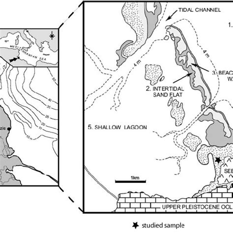 Geological Setting Of The Hassi Jerbi Outcrop Southern Tunisia Download Scientific Diagram