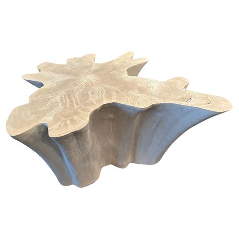 Andrianna Shamaris Amorphous Bleached Teak Wood Table For Sale At 1stdibs