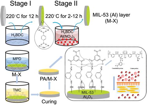 Schematic Diagram Of Preparation Of Pa Layer On Al2o3 Substrate Via A