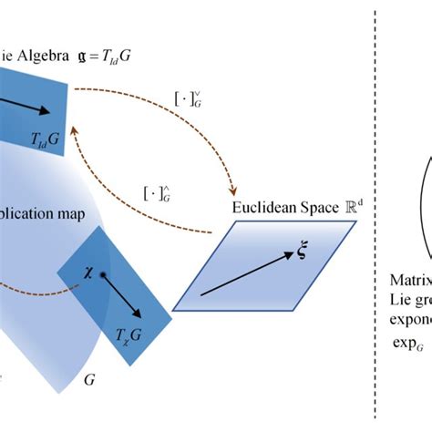 Schematic Of Mappings Among Lie Group Lie Algebra And Euclidean