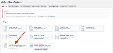 How To Clear The WordPress Cache Quickly And Easily TUTORIAL
