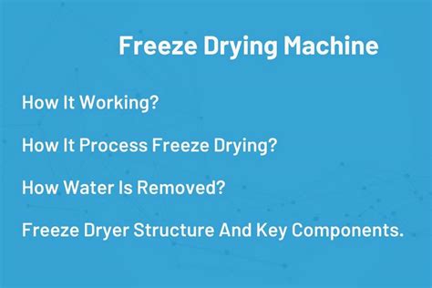 How Freeze Dryer Machine Working How It Processes Freeze Drying Vekuma Freeze Dryers