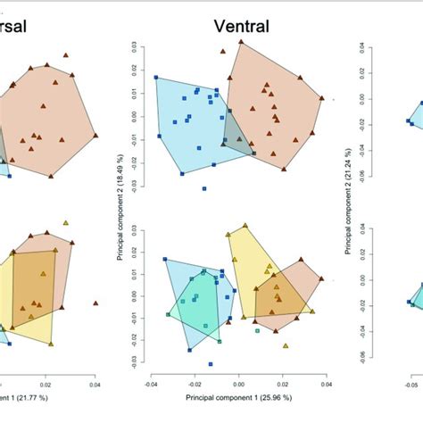 Visualization Of PCA Results Based On Geometric Morphometrics Of The Download Scientific