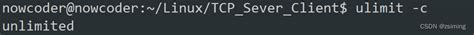 解决：linux下c 段错误不产生core文件 ulimit c unlimited 没生成core csdn博客