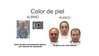 Media Filiación Pdf