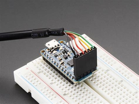 Adafruit Pro Trinket
