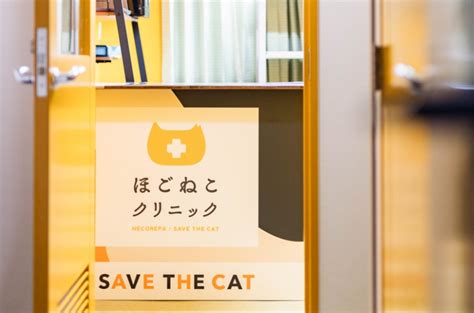 Necorepaほごねこクリニック大阪熊取町｜クリニック｜ネコリパブリック 保護猫専用の不妊手術病院 ほごねこクリニック