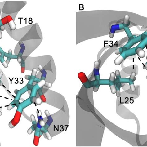 Multienzyme Complexes Metabolons Natures Strategy To Solve Download Scientific Diagram