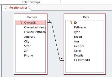 CIS CH 9 Databases Flashcards Quizlet