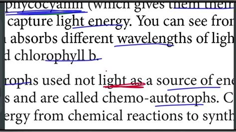 Autotrophs Evolution