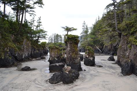 Explore San Josef Bay The Easy Way — Cove Adventure Tours Explore