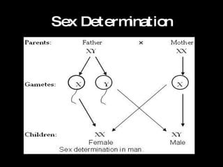 Non Mendelian Genetics Roel PPT Reproductive Health Diseases And Conditions