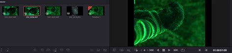 does anyone else get their nef files turn green when imported to