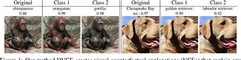 figure 1 from diffusion visual counterfactual explanations semantic
