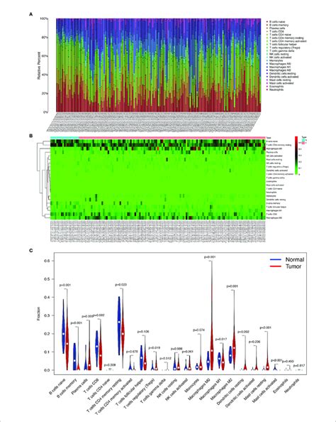 The Proportion Of The 22 Immune Cells Detected By The Cibersort