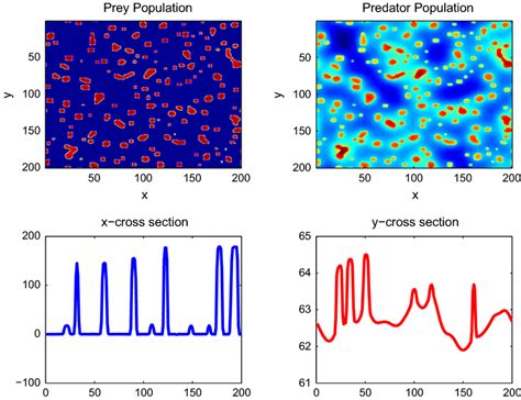 Snapshots Of Patterns Of Prey And Predator Species In The System 32