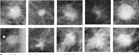 figure 1 from geared rotationally identical and invariant convolutional