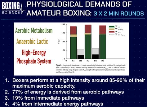 CONDITIONING FOR BOXING THE BOXING SCIENCE METHOD Boxing Science