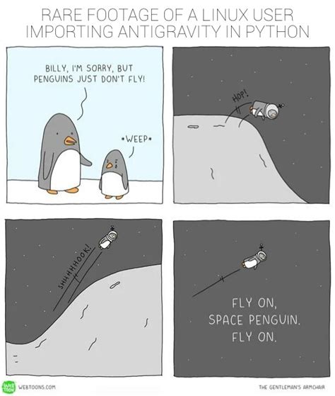 Usr Bin Env Python R Programmerhumor