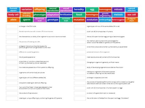 Heredity And Evolution Match Up
