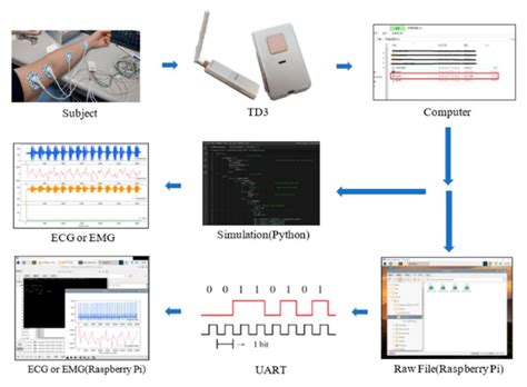 Featurepaper Securecommunications Biomedical Mdpielectronics Electronics Mdpi