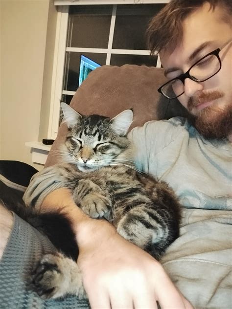 Rest Mode R Standardissuecat