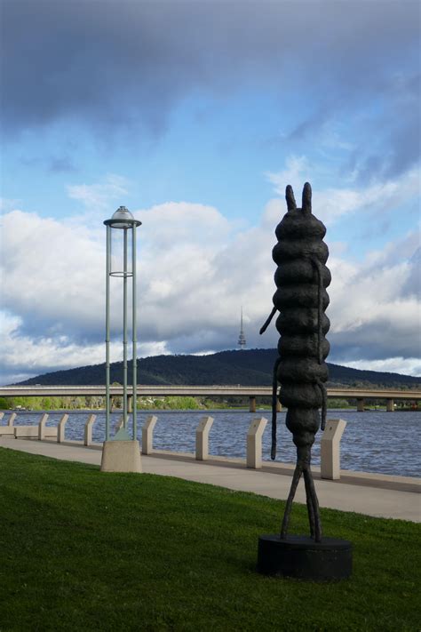 I For One Welcome Our New Insect Overlords Scrolller