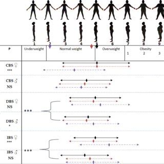 Perceptions Of Body Size On The Female Body Size Scale By Sex And Area Download Scientific