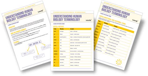 Understanding Human Biology Terminology Reference Library Health