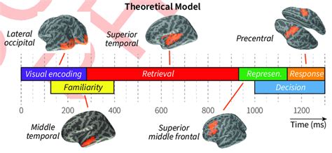 Theoretical Model Of Associative Recognition Boxes Indicate Processing