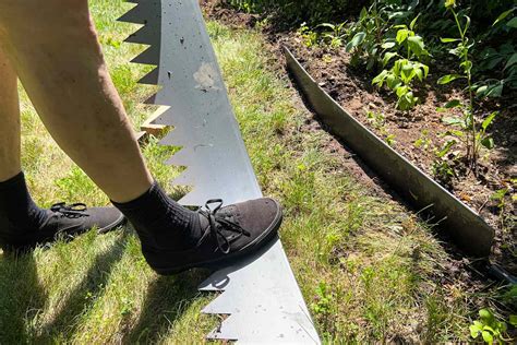 The 8 Best Landscape Edging The Spruce Has Tested