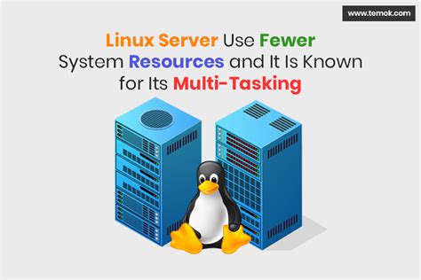 Windows Server Or Linux Server Which Is The Best Choice For Your Business Temok Hosting Blog