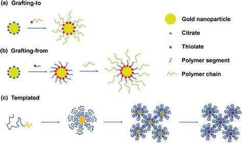 Schematic Illustration Of Polymer Grafting Approaches Used In