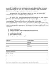 Dating Rocks And Fossils Methods And Techniques Course Hero