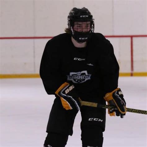 Mark Plett Stats Contract Salary And More