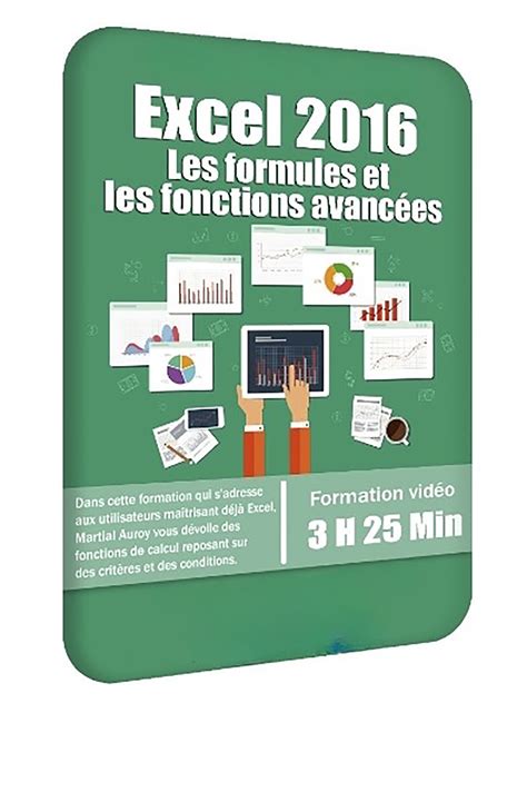 Excel 2016 Les Formules Et Les Fonctions Avancées 3h 25m 6 2gb